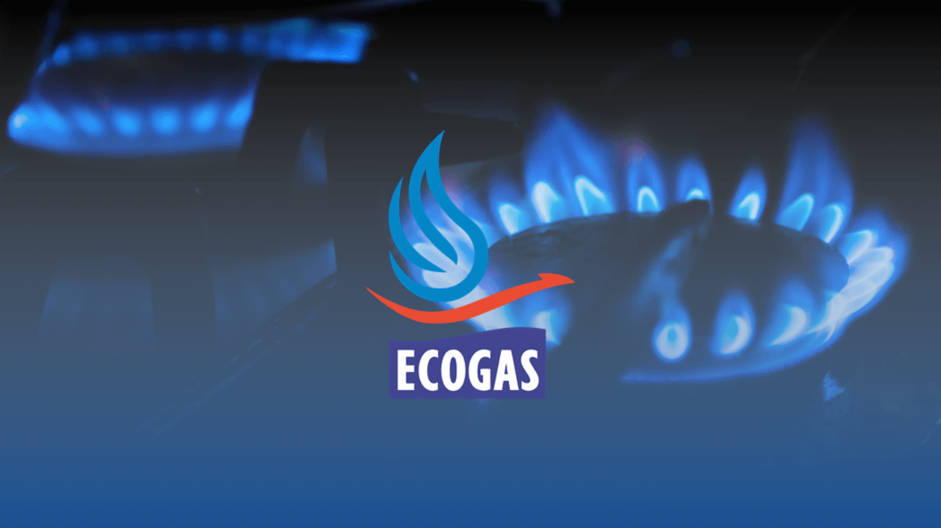 Cómo Revisar tu Factura en Ecogas - site.panoramicposts